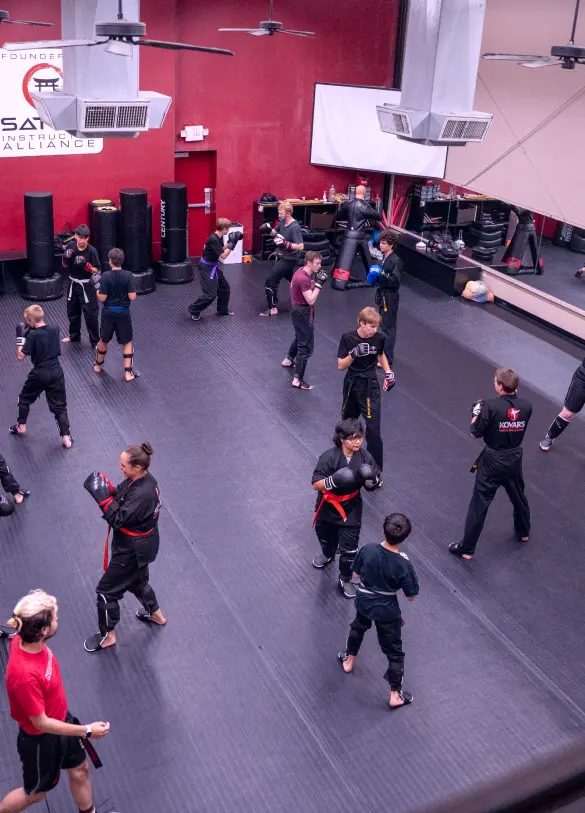 Best Sacramento Martial Arts Classes for Kids, Teens & Adults | Kovars